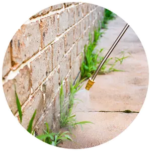 Weed Killers for Our Proven Organic Programs – Green Earth Ag & Turf