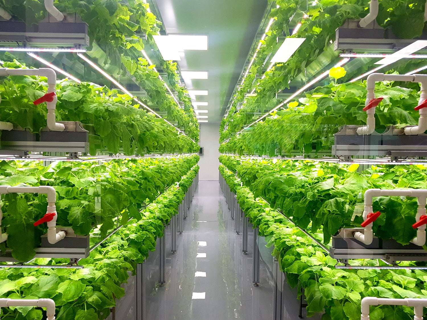 Green Earth Ag & Turf | Proven & Easy Organic Products