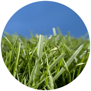 Proven Organic Programs: Fertilization & Soil Health – Green Earth Ag ...