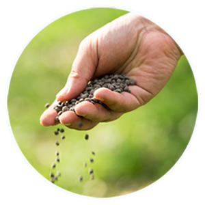 Proven Organic Programs: Fertilization & Soil Health – Green Earth Ag ...